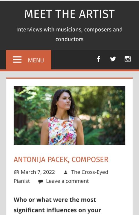 Meet the Artist Interview with Frances Wilson | Antonija Pacek